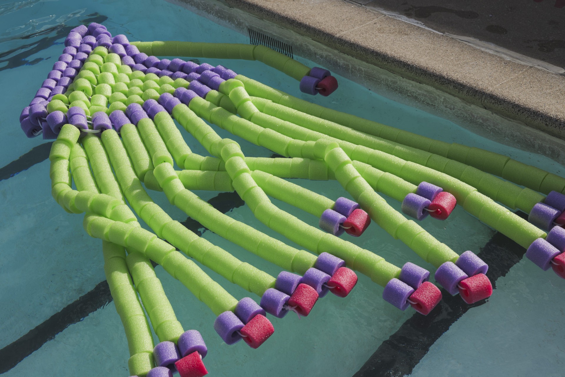 Vanessa Dion Fletcher: BIG Doll | XWAT Naaniitus - Art Windsor-Essex